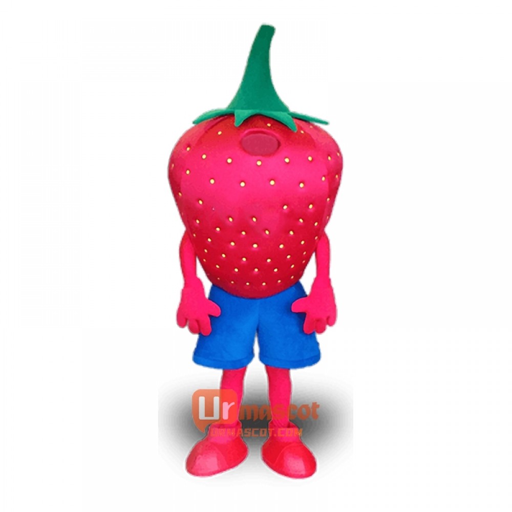 Strawberry Character Mascot Costume Cosplay Outfits